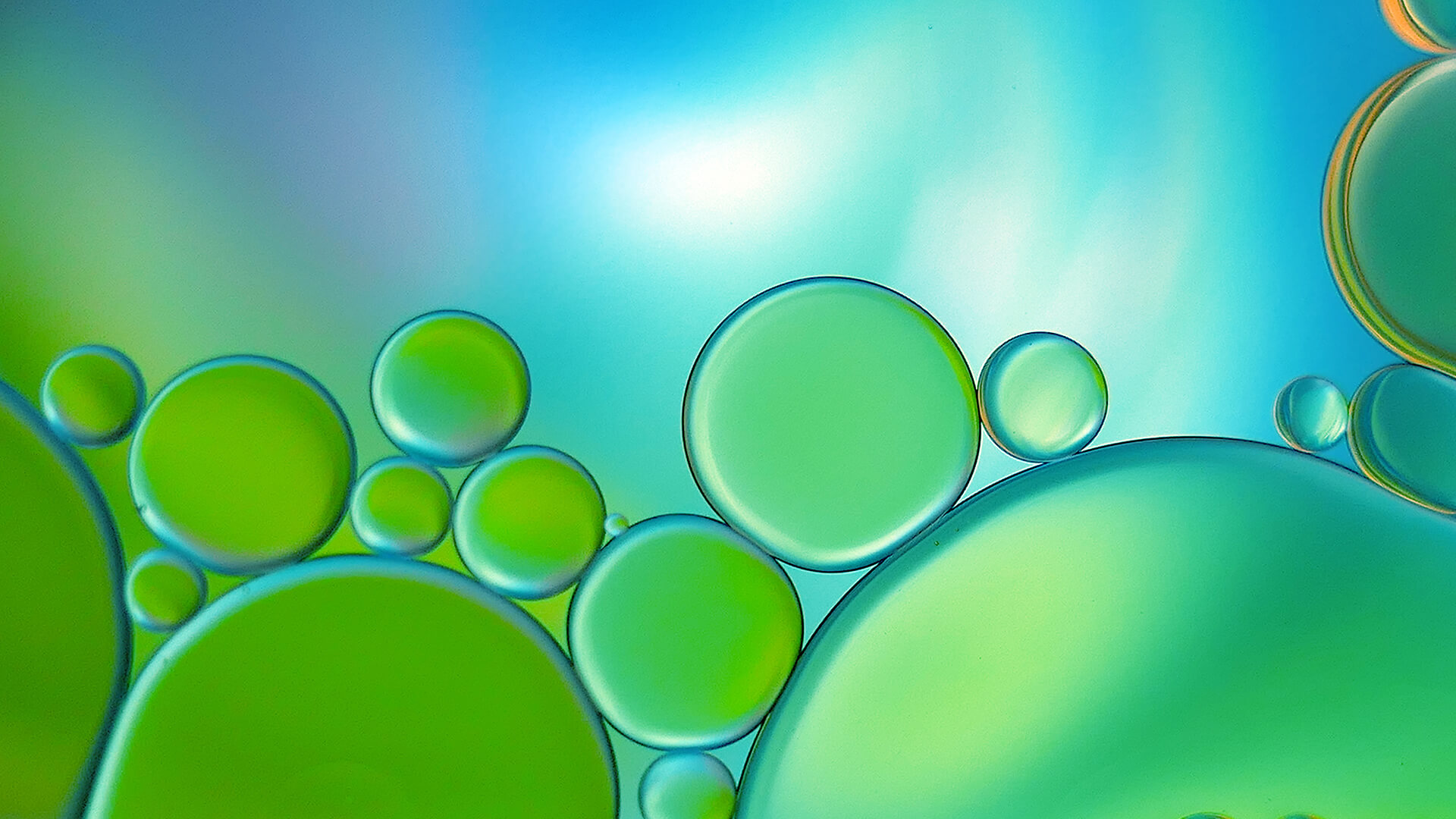 Telko | Distributor and Expert of Plastics, Chemicals and Lubricants