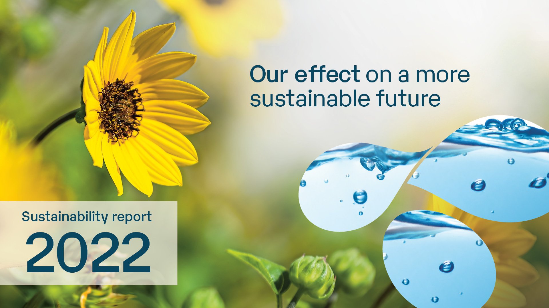 Downloadables - Sustainability - Telko